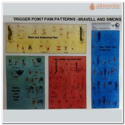 Mapa Trigger Point Pain Patterns Travell and Simons 2UN- Lj